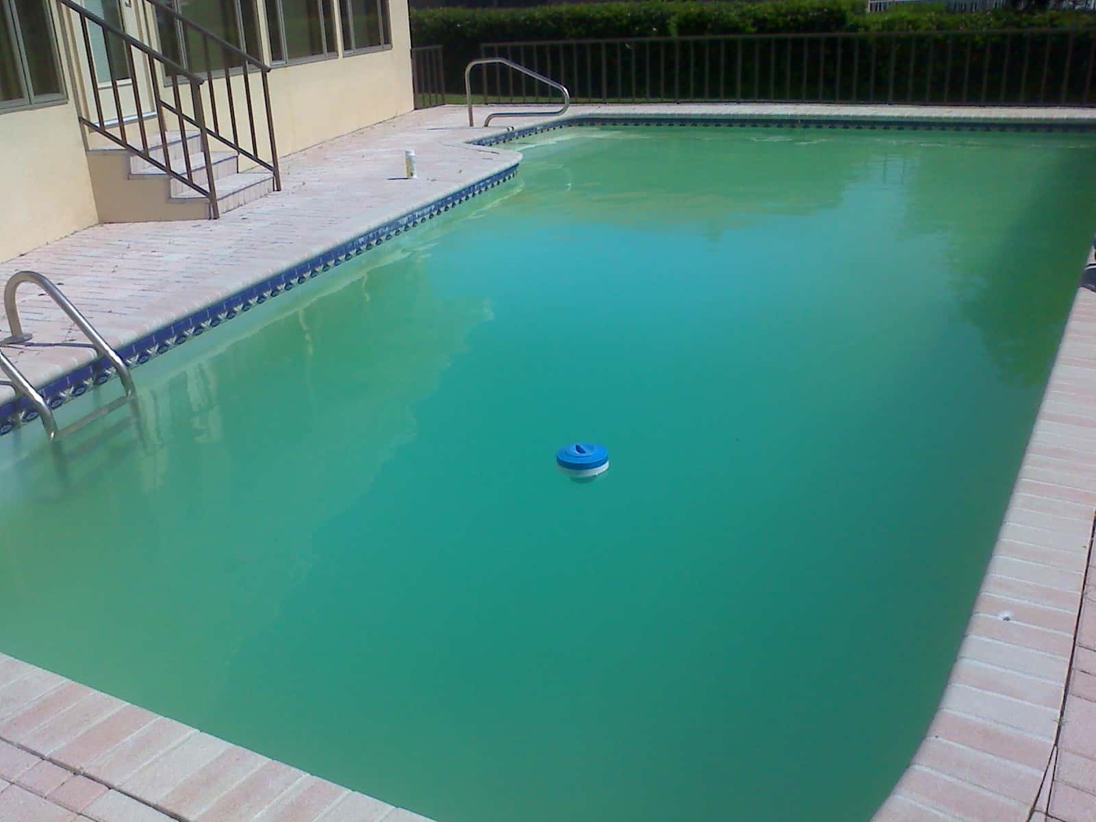 COMPREHENSIVE GUIDE TO USING FLOCCULANT IN YOUR POOL FOR CRYSTAL CLEAR ...